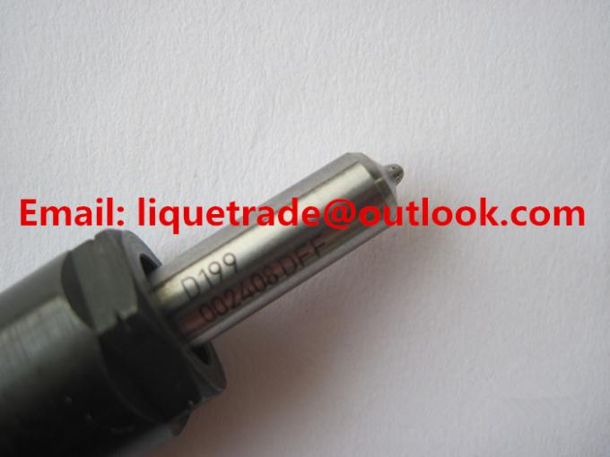 DELPHI Common rail injector EJBR04401D for SSANGYONG A6650170221 ...